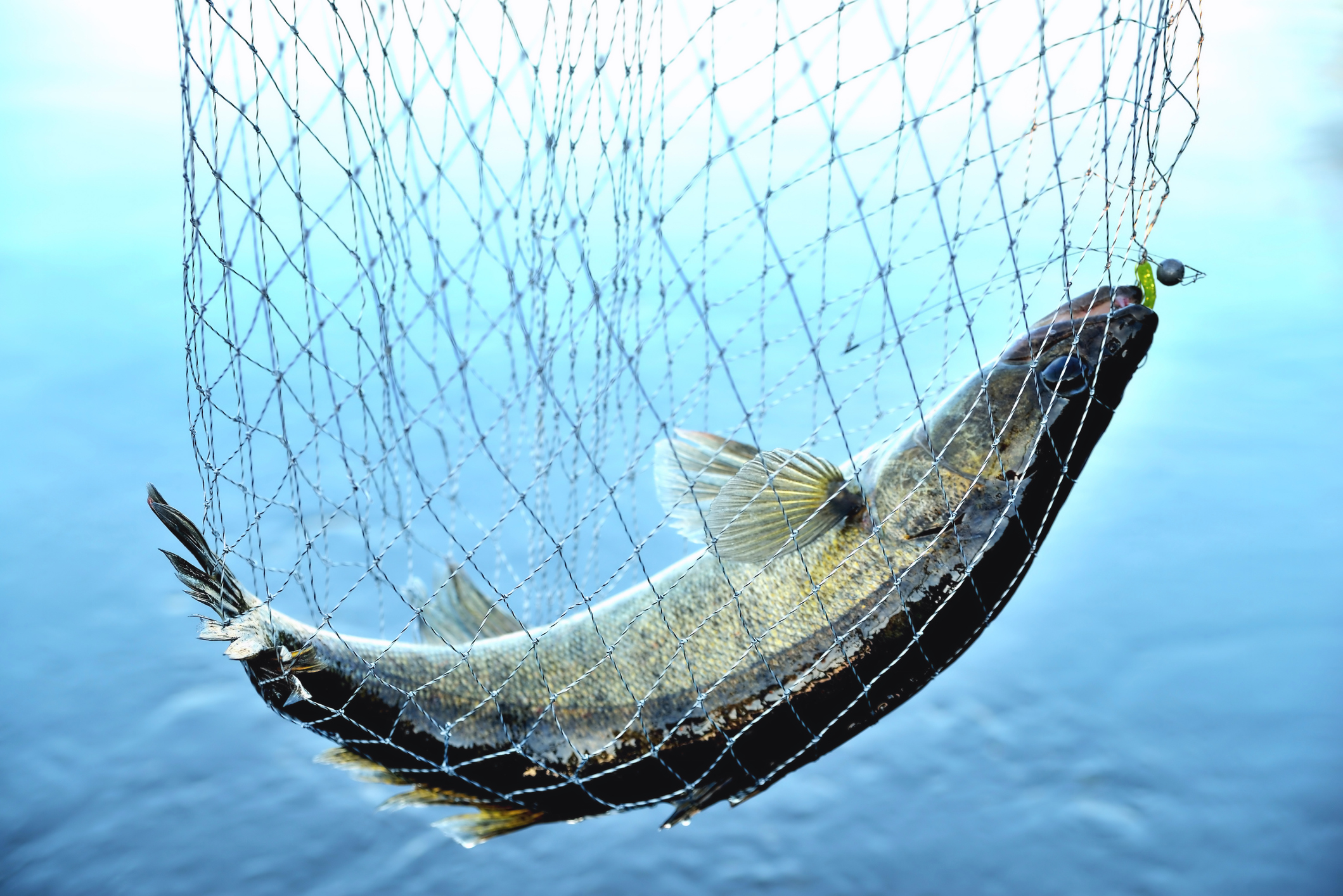 IMB missionary casts net for dying friend | Baptist Press
