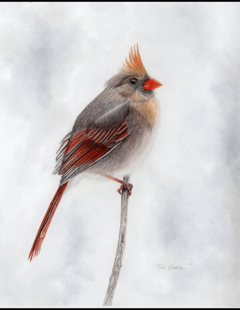 Pastors promote Lottie Moon offering with original ‘Lotta Lottie ...